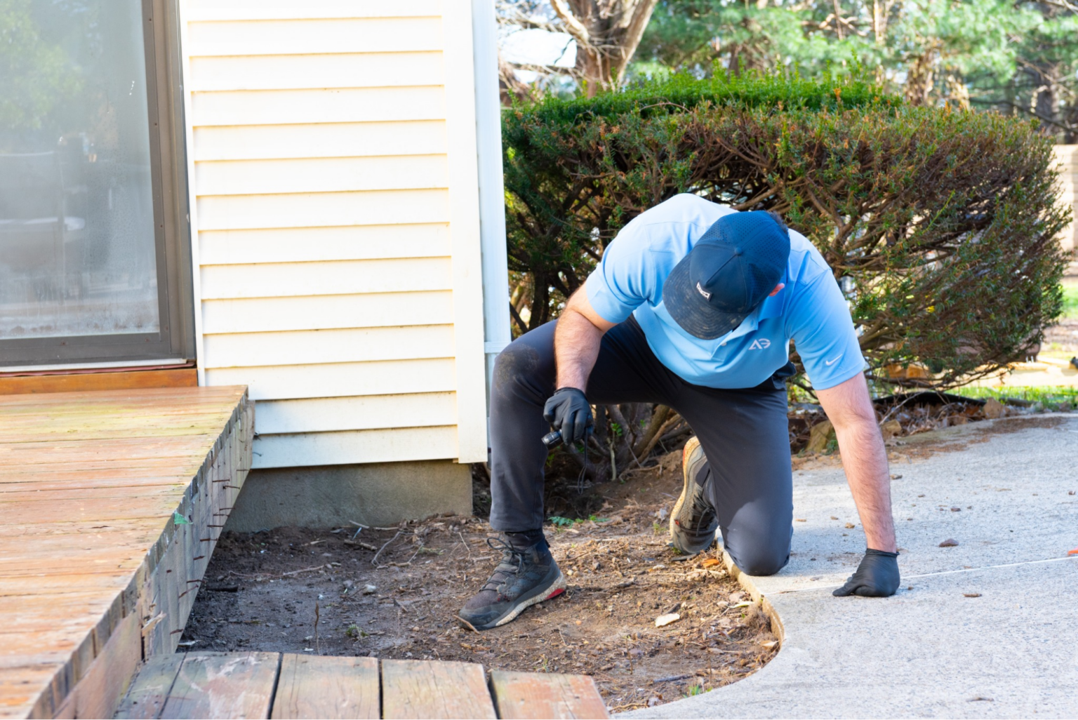 How to Get Rid of Rodent Urine Smell (What Actually Works) | Agile Pest ...