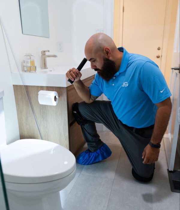 Why Are Ants in My Bathroom and How to Get Rid of Them? | Agile Pest ...